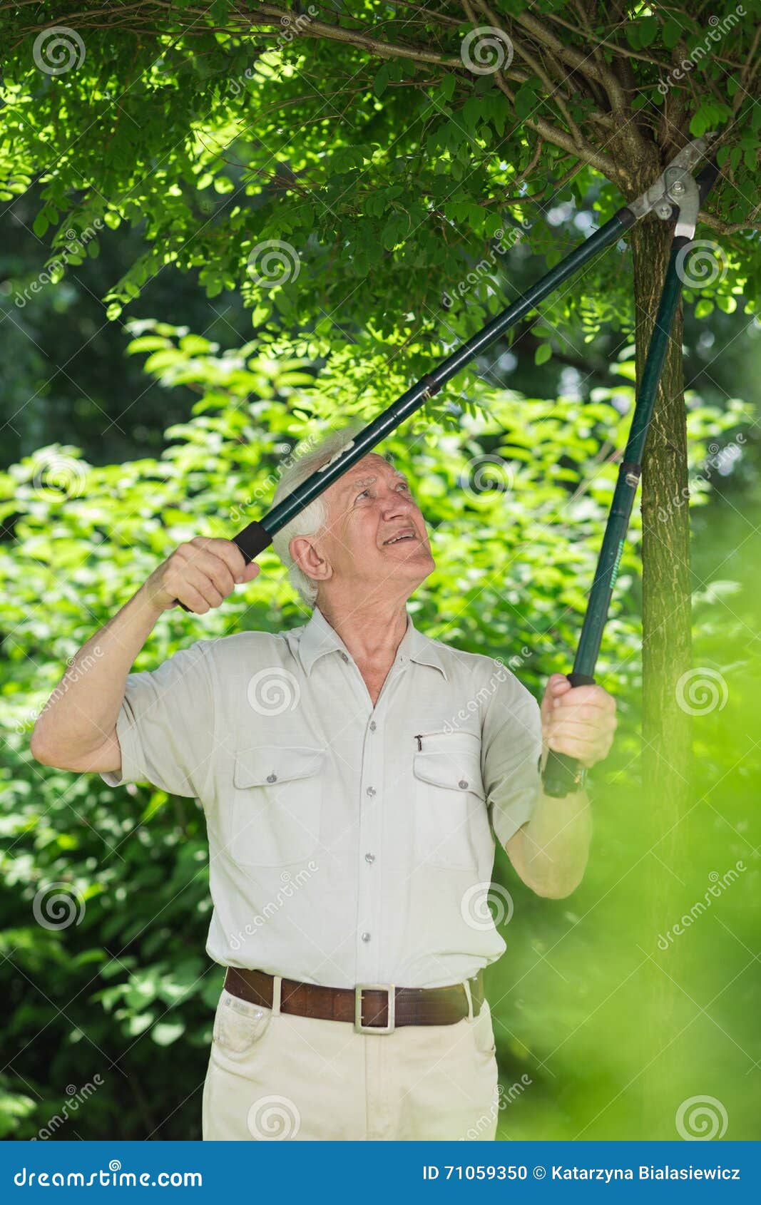 Man cutting tree branches stock photo. Image of male - 71059350