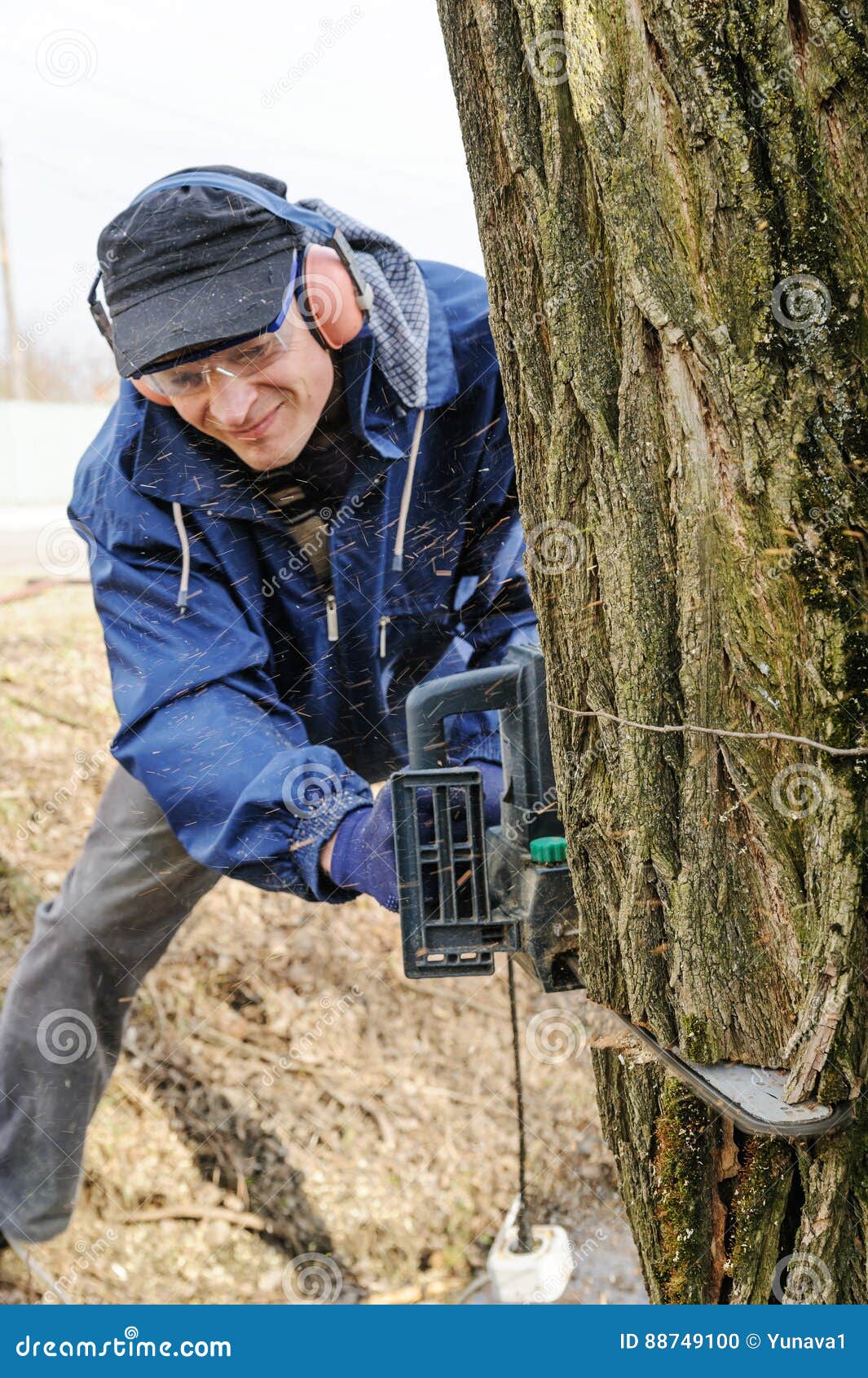 The Man is Cutting Tree with Chain Saw. Stock Photo - Image of lumber ...