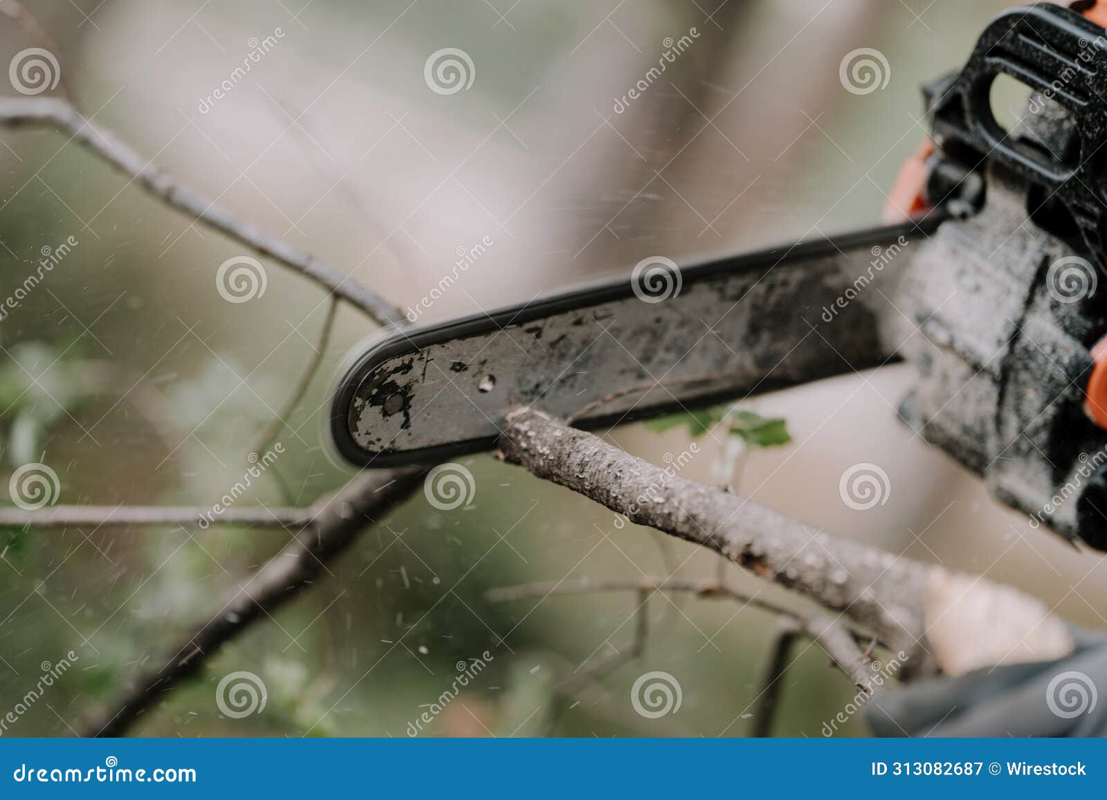 Man Cutting a Tree with a Circular Saw Stock Image - Image of forest ...
