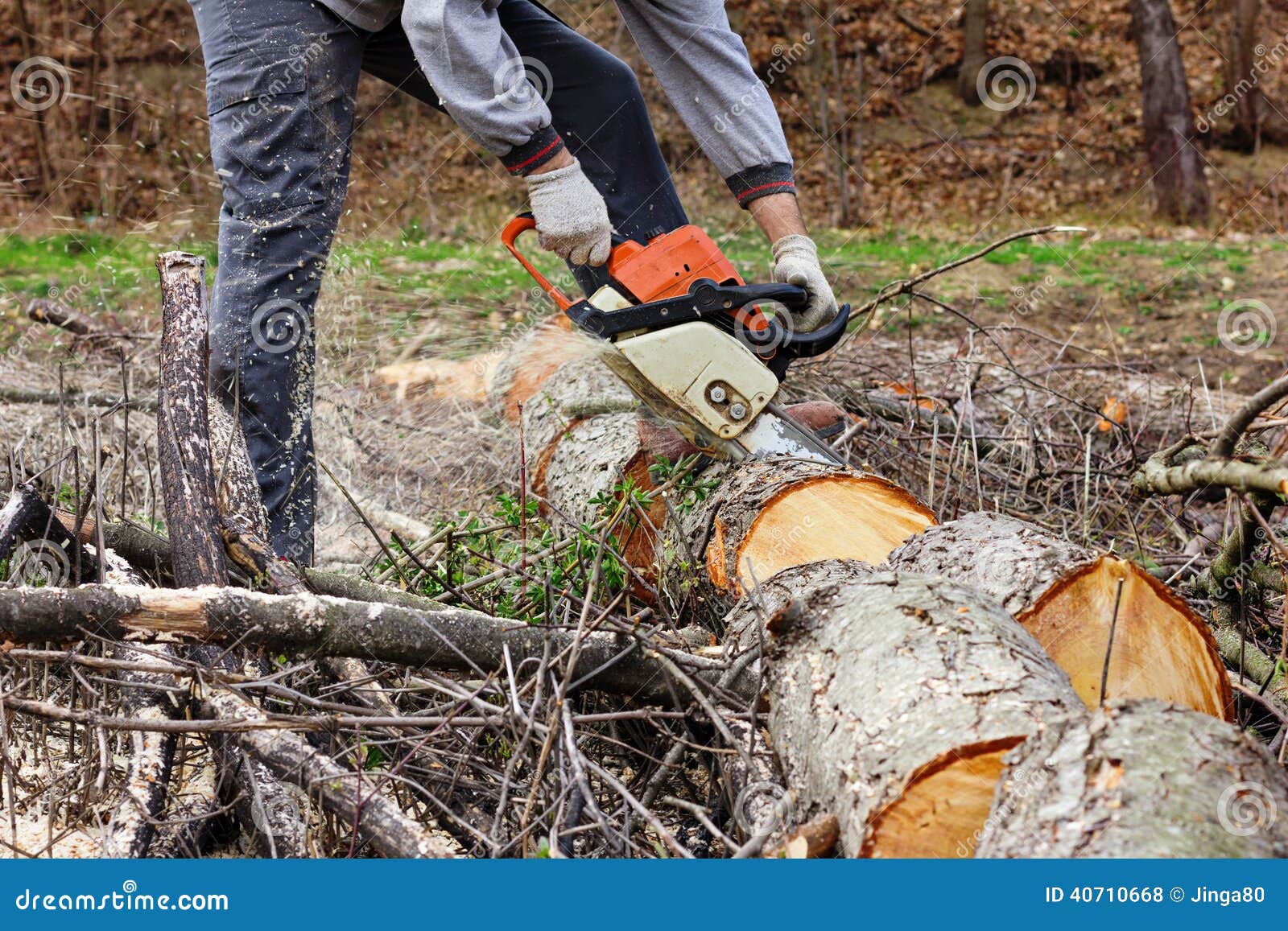 Man Cutting Trees Using an Electrical Chainsaw Stock Photo - Image of ...