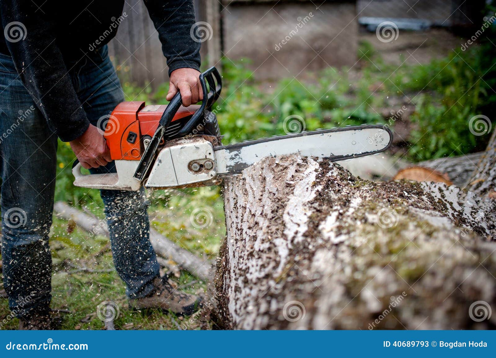 Man Cutting Trees Using an Electrical Chainsaw Stock Image - Image of ...