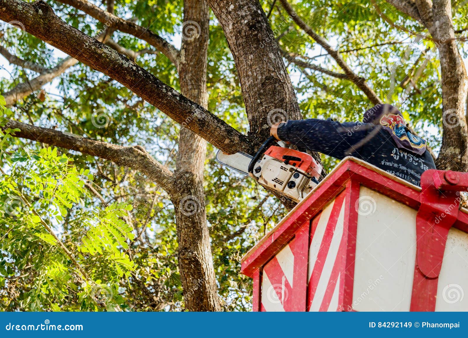 Man Cutting Trees Using an Electrical Chainsaw and Professional ...