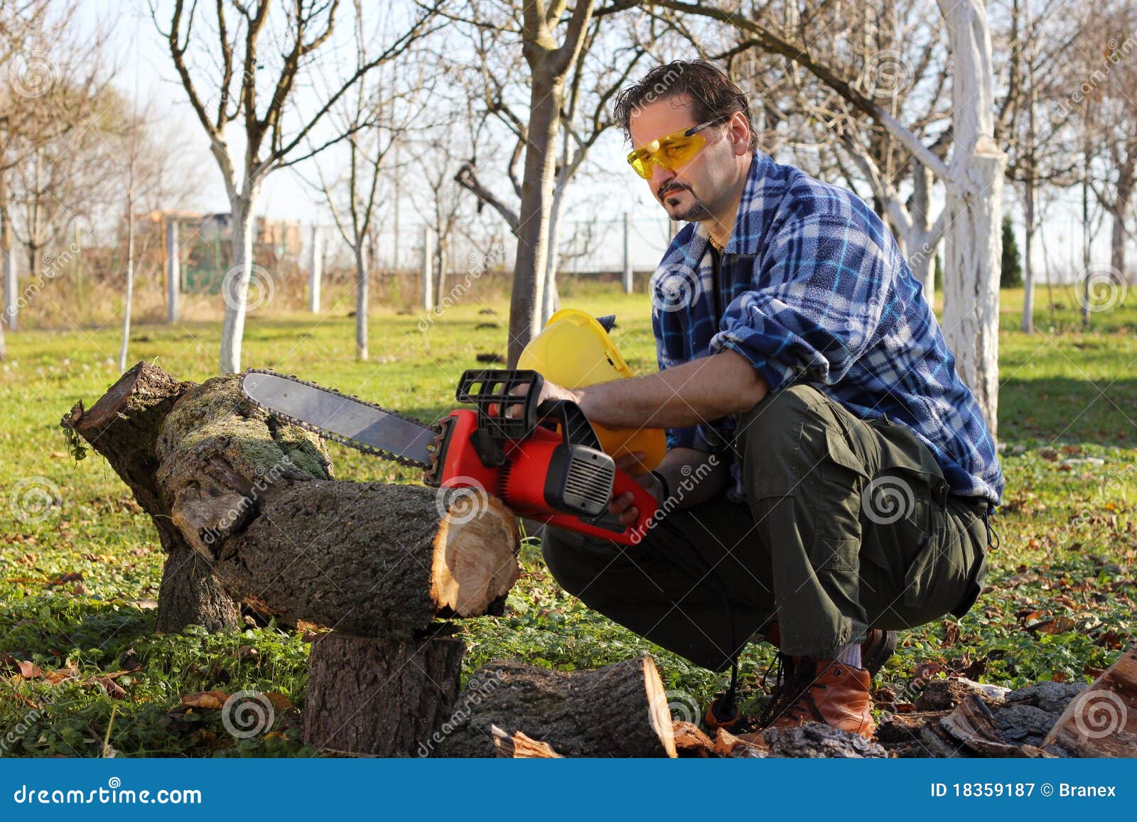 Man cutting a wood stock image. Image of sawdust, manual - 18359187