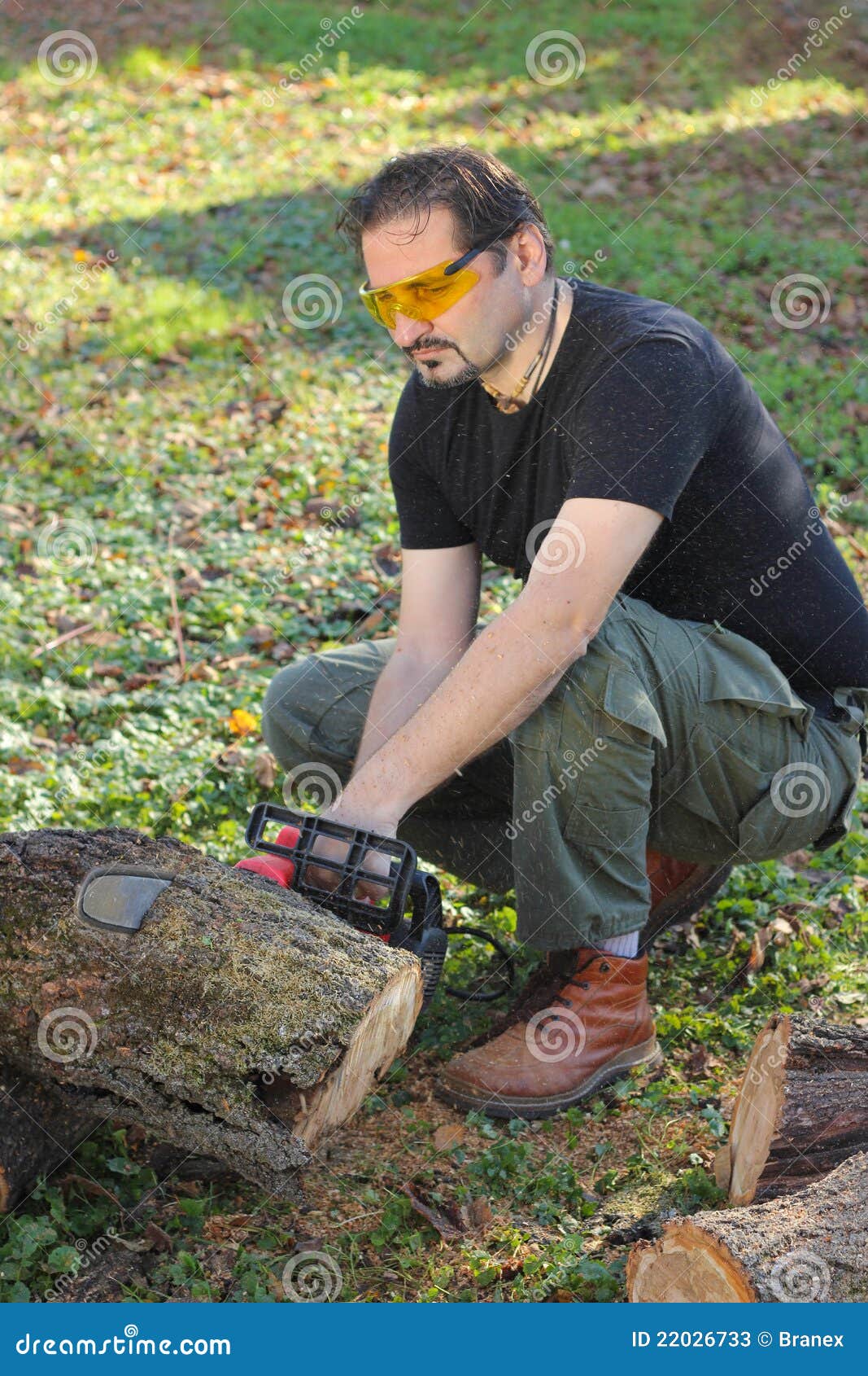 Man cutting wood stock image. Image of lumberer, busy - 22026733