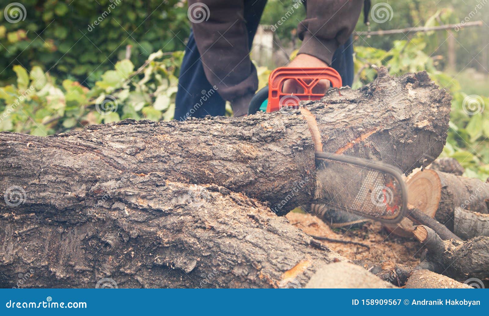 Man Cutting Wood with a Chainsaw Stock Image - Image of lumber, chain ...