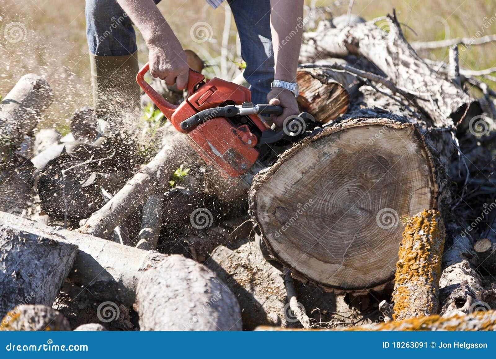 Man Cutting Wood with a Chainsaw Stock Image - Image of working, people ...