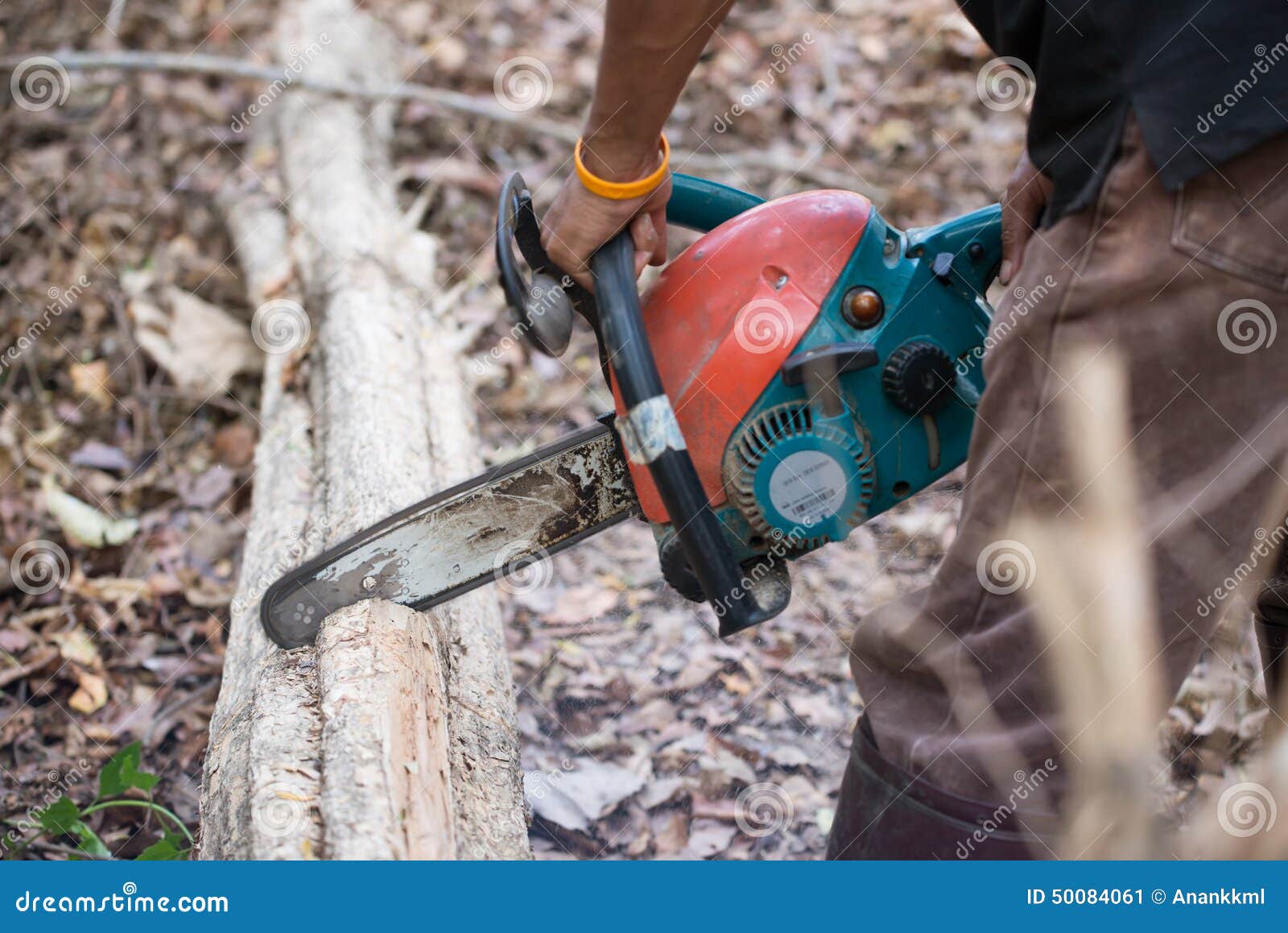 Man Cutting the Wood with Chainsaw Stock Image - Image of equipment ...
