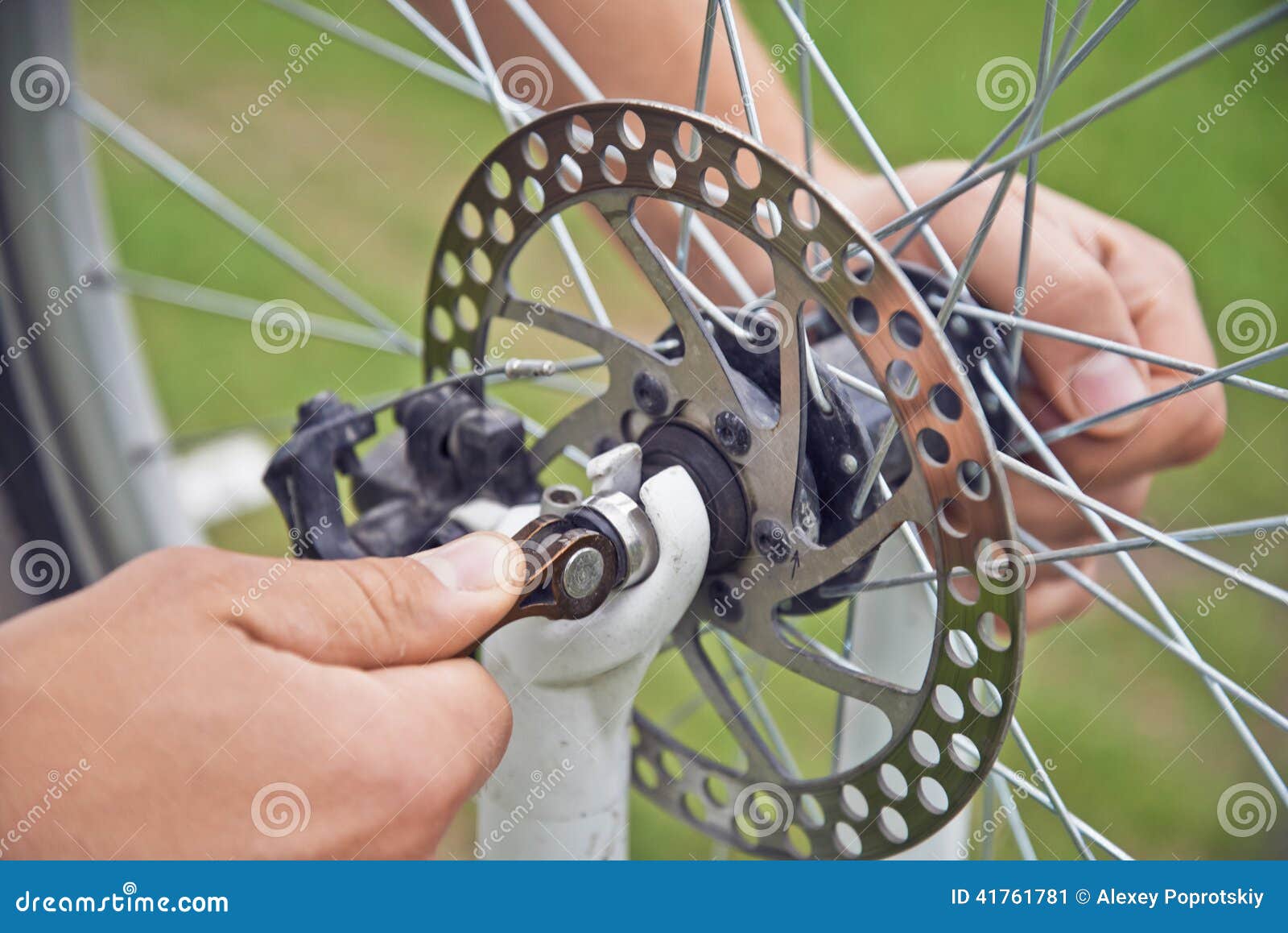 634 Checks Wheel Stock Photos - Free & Royalty-Free Stock Photos from ...