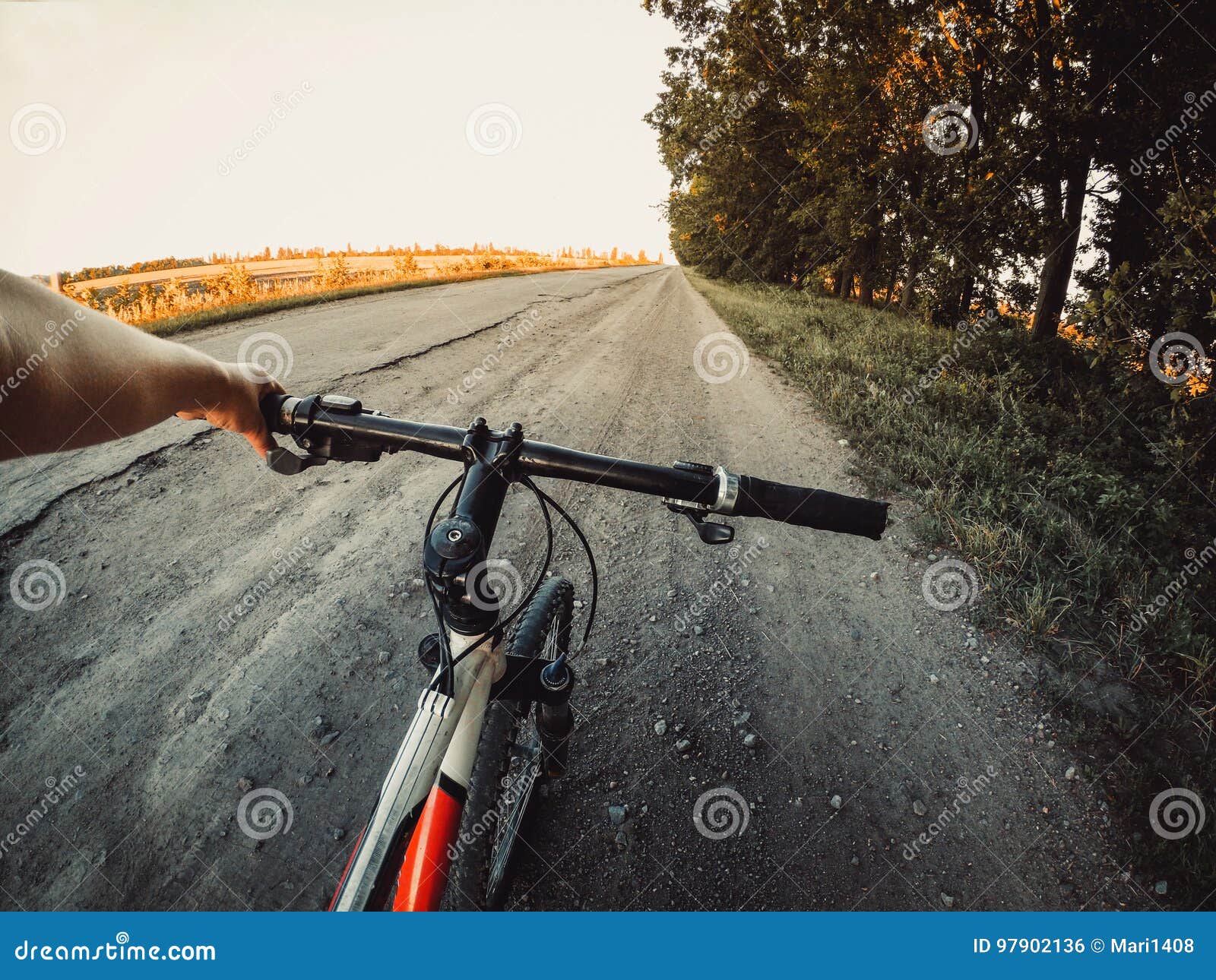 A Man Cyclist Holds a Bicycle Behind the Wheel Stock Photo - Image of ...
