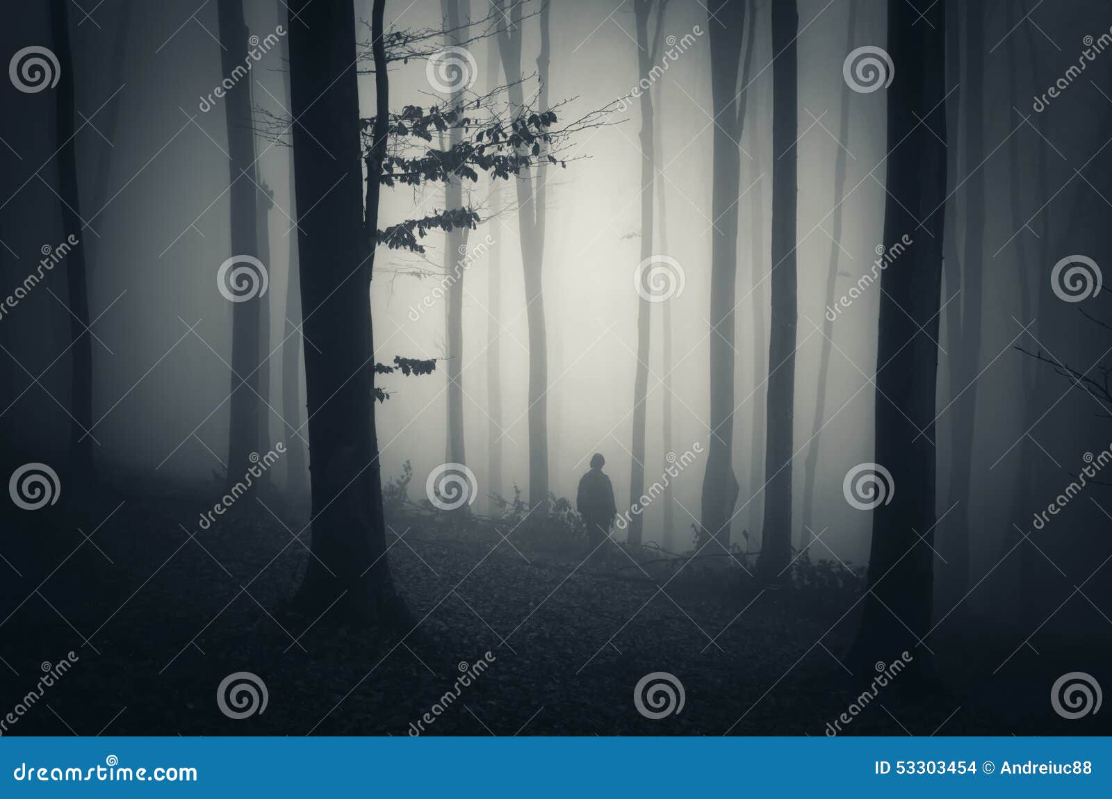 Man in Dark Forest with Fog Stock Photo - Image of fall, enchanted ...