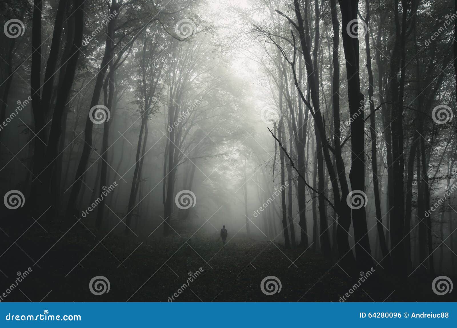 Haunted Forest Night Scene With Ghost Royalty-Free Stock Photo ...