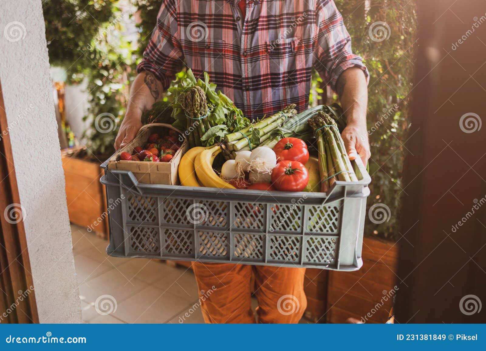 Man Delivering Fruit and Vegetable Stock Image - Image of courier ...