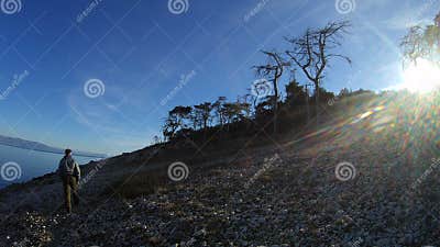 Man on the desert beach stock image. Image of winter - 84268081