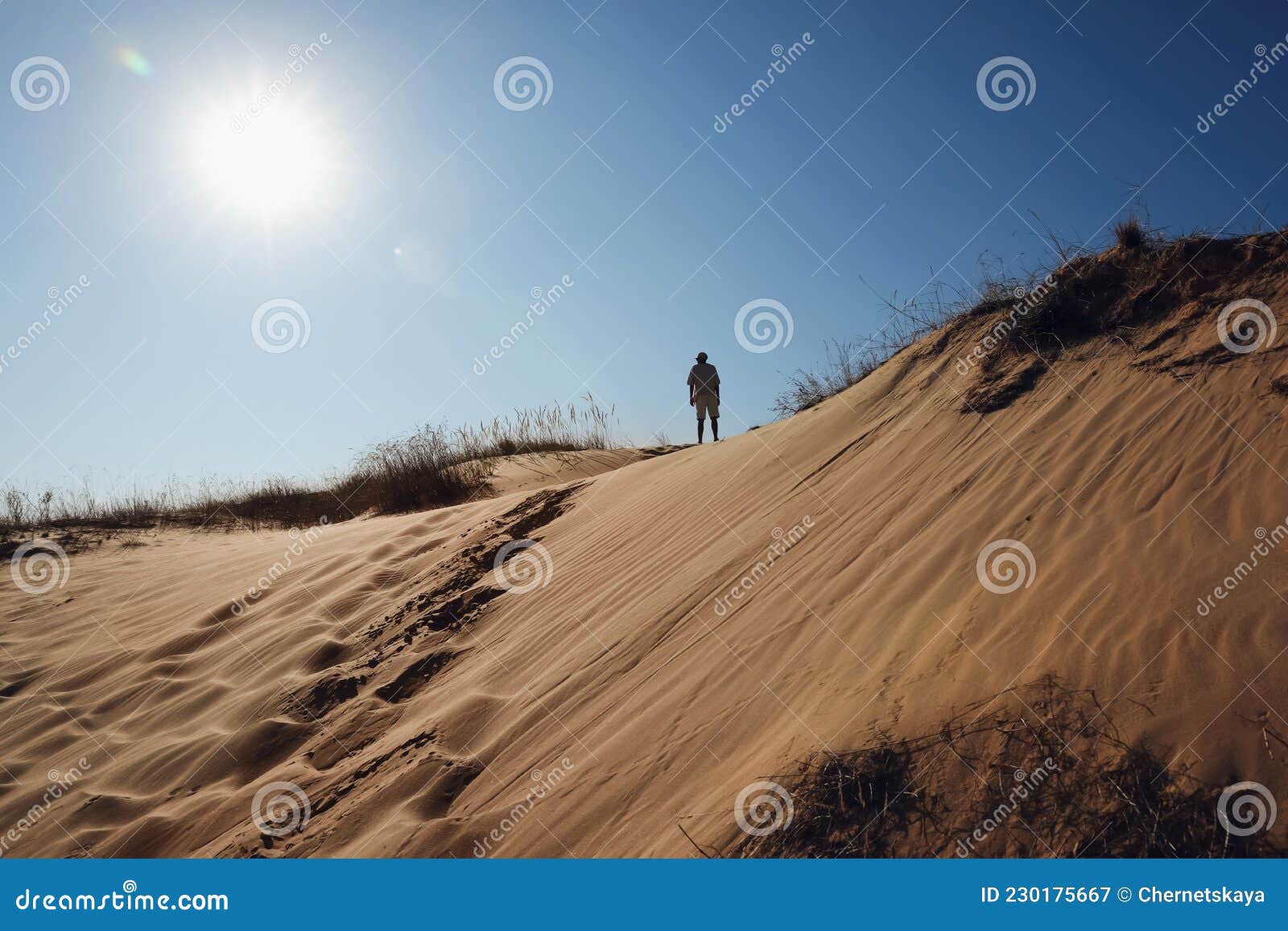 Man in Desert on Sunny Day, Back View Stock Image - Image of sandy ...