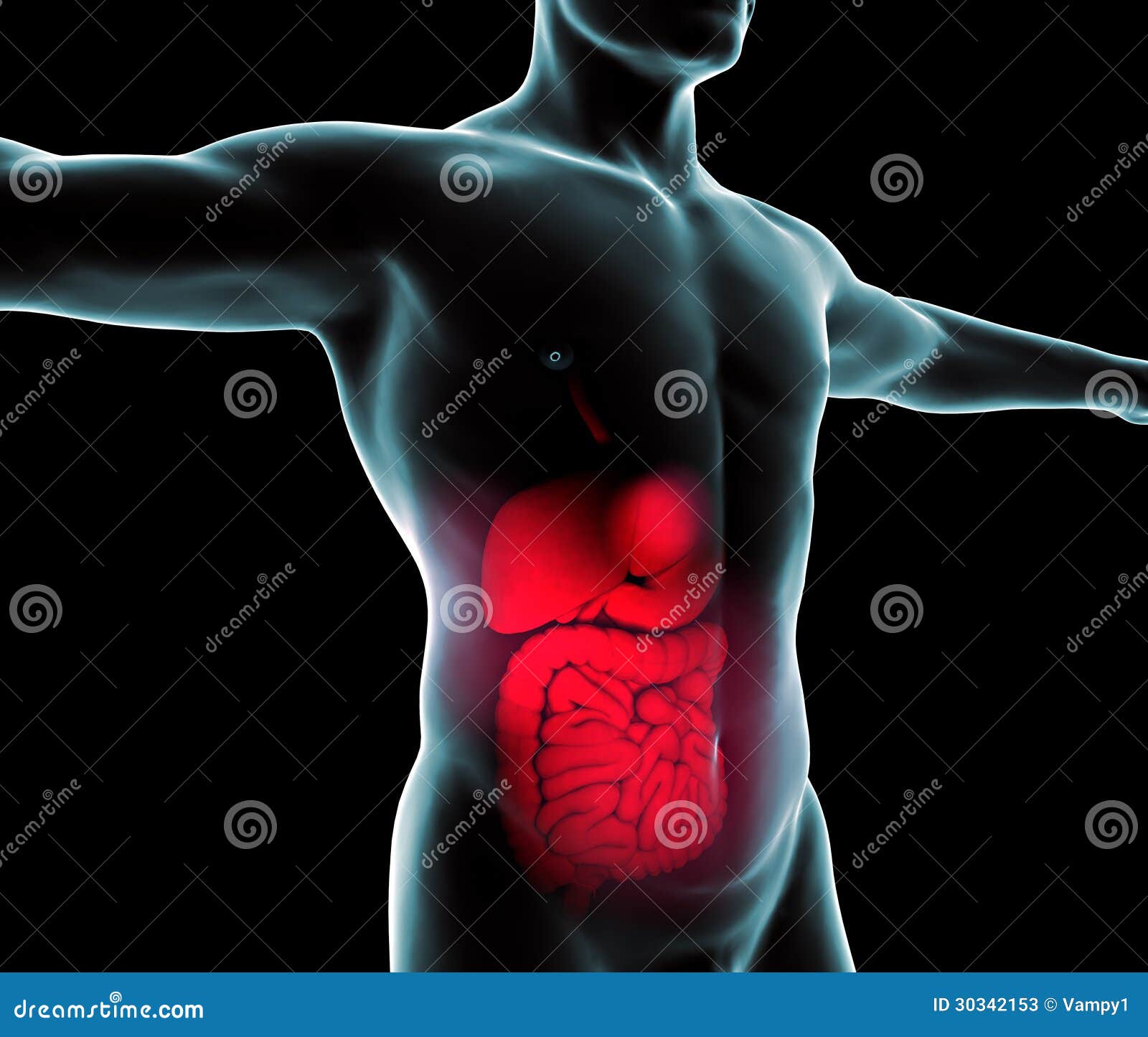 Man and Digestive Tract, Intestines Stock Illustration - Illustration ...