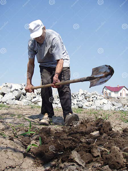Man digging stock image. Image of house, plant, stone, soil - 733123