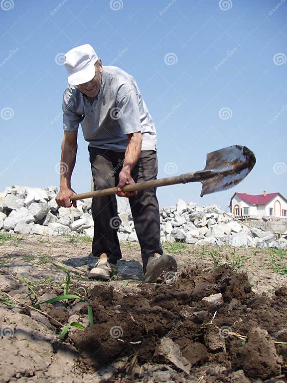 Man digging stock image. Image of house, plant, stone, soil - 733123