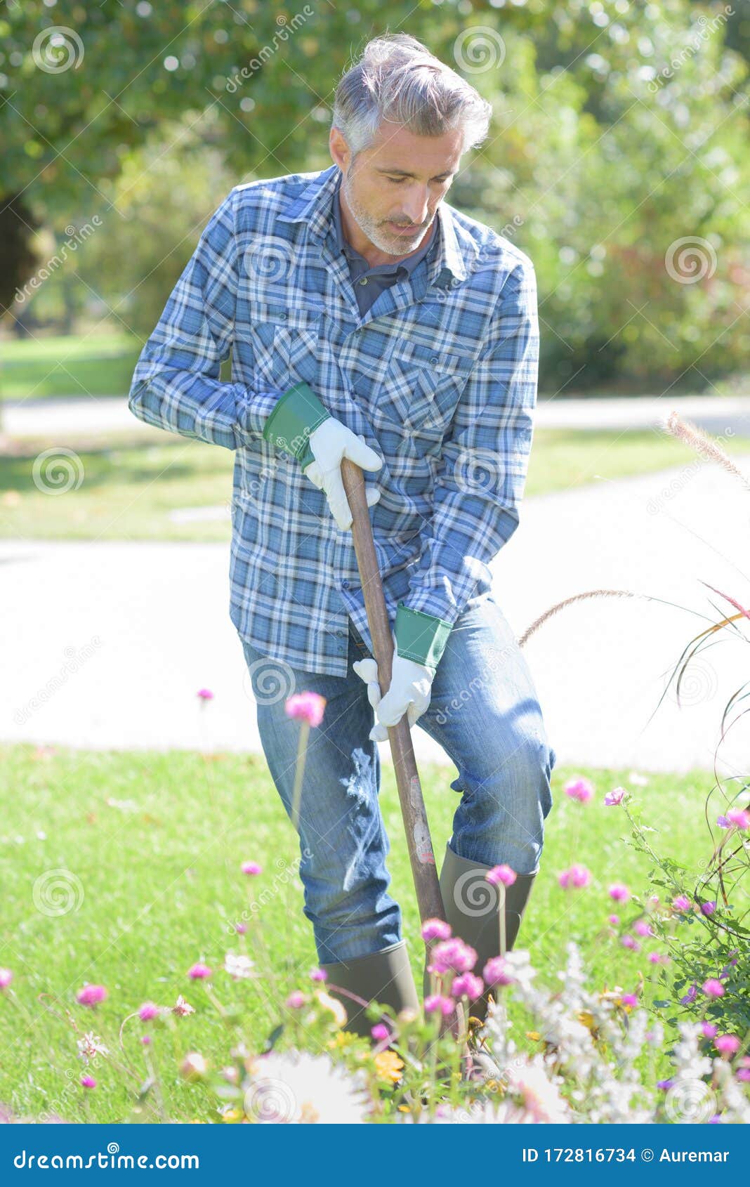 Man digging garden stock photo. Image of shovel, mature - 172816734