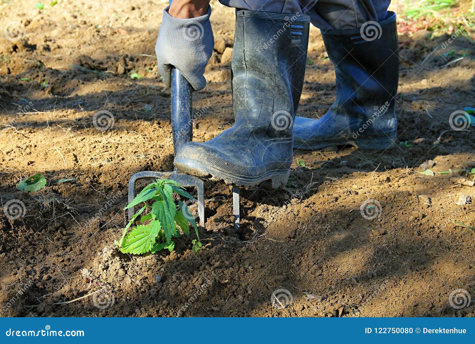 Man digging garden stock photo. Image of countryside - 122750080