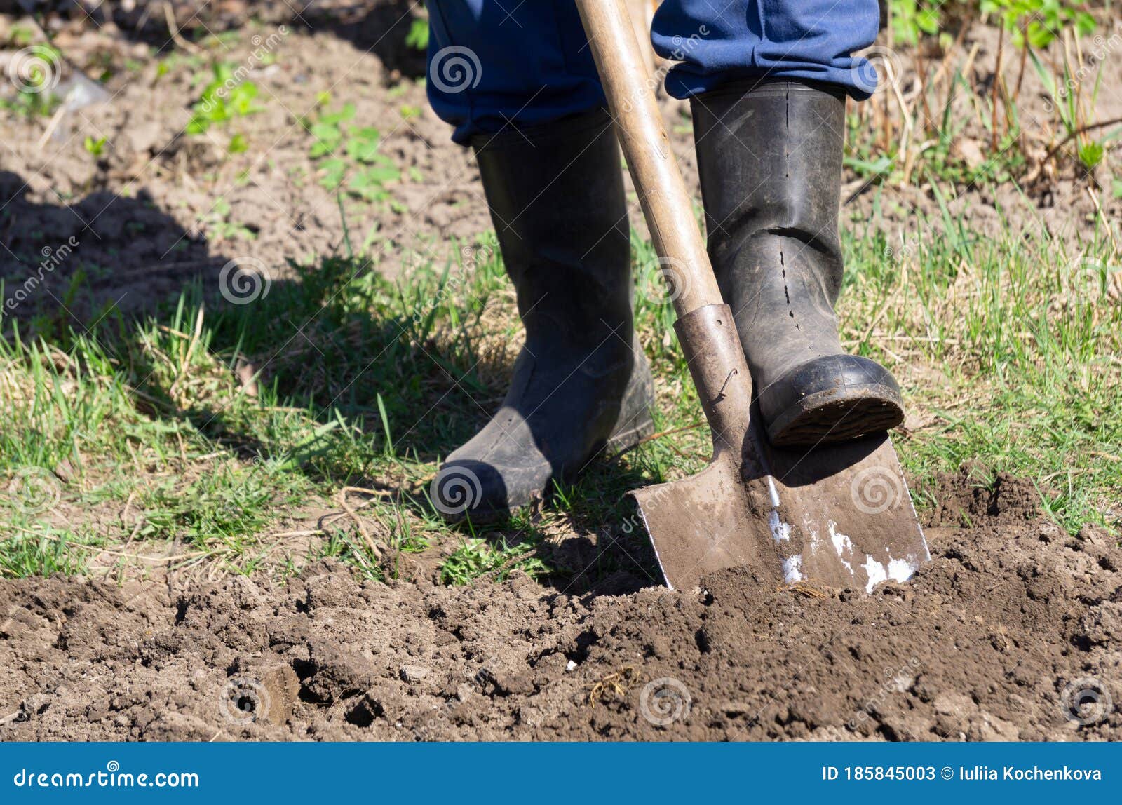 Man Digging Ground in the Garden for Plants Stock Image - Image of ...