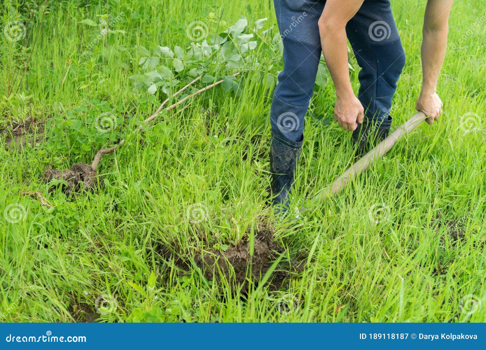 Man Digging Ground Green Grass Lawn Stock Image - Image of closeup ...