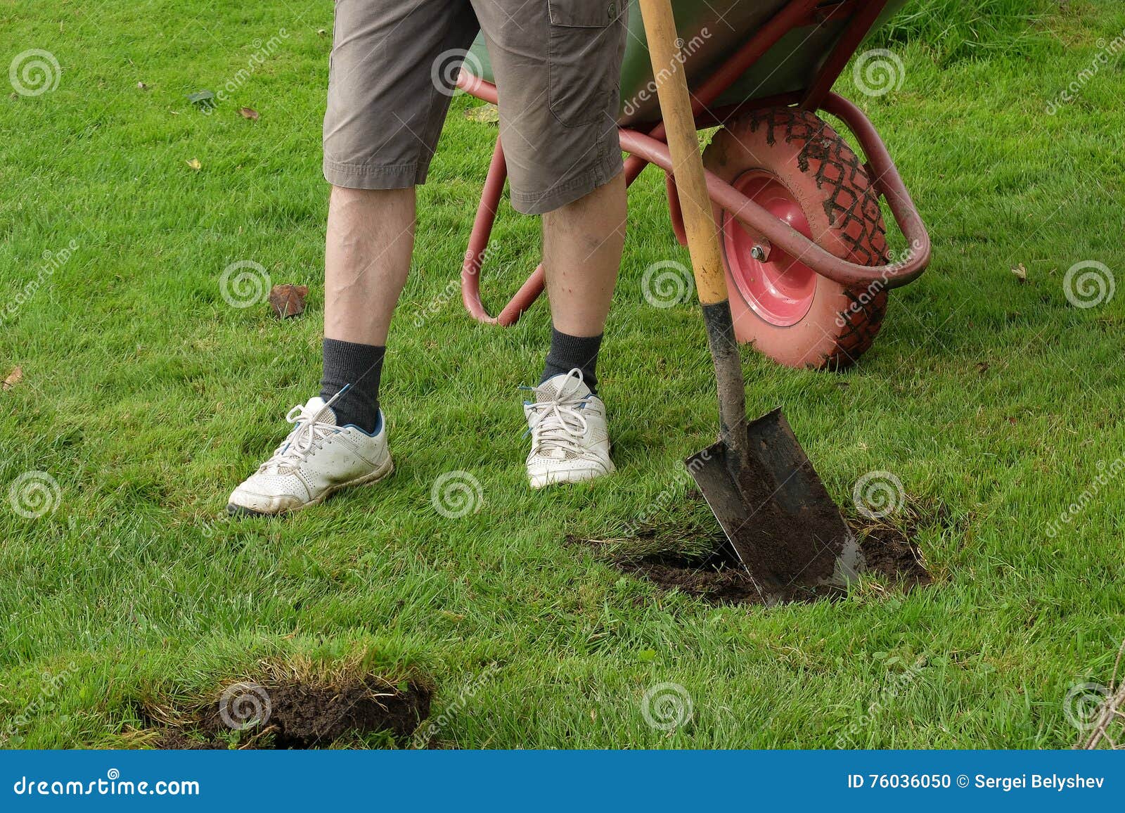 Digging Shovel Stock Photos - Download 13,569 Royalty Free Photos