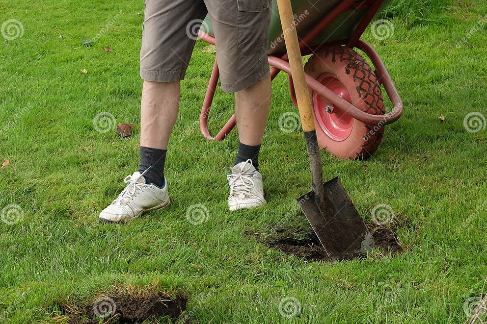 Man Digging a Hole with a Shovel Stock Photo - Image of ground, soil ...
