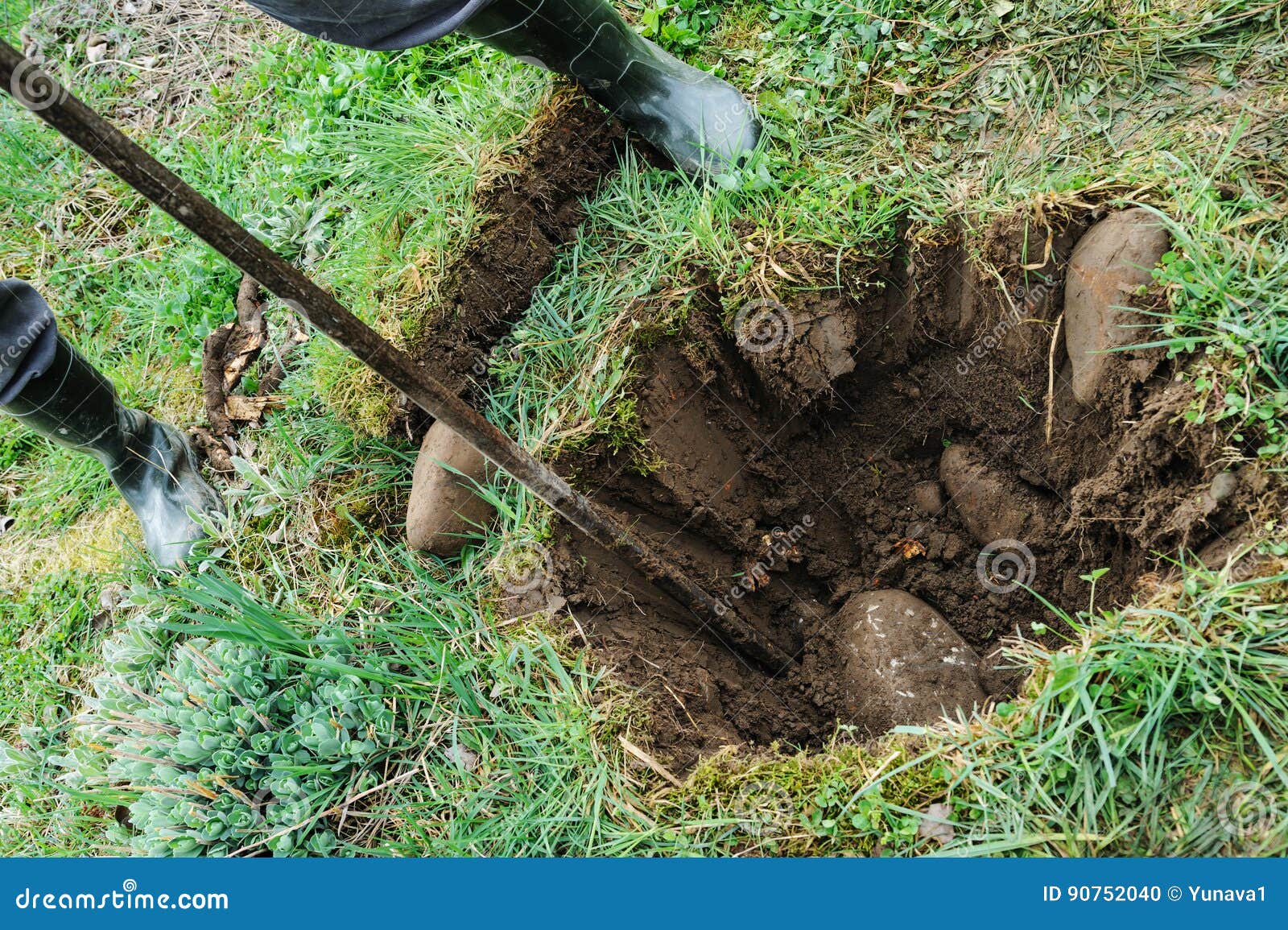 Man is digging a pit. stock photo. Image of plant, spade - 90752040