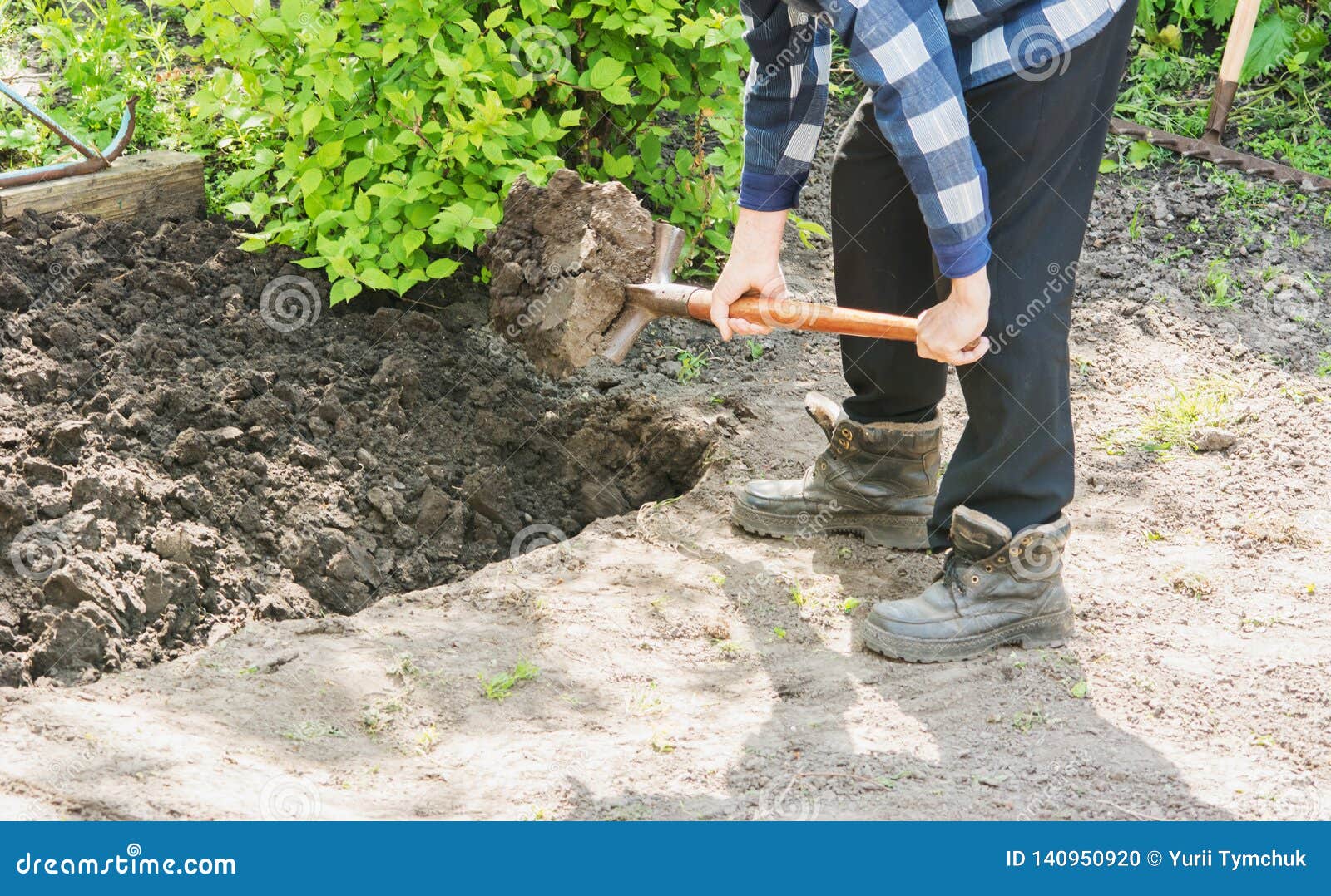 Man Digging with a Shovel a Garden Bed Stock Photo - Image of plant ...