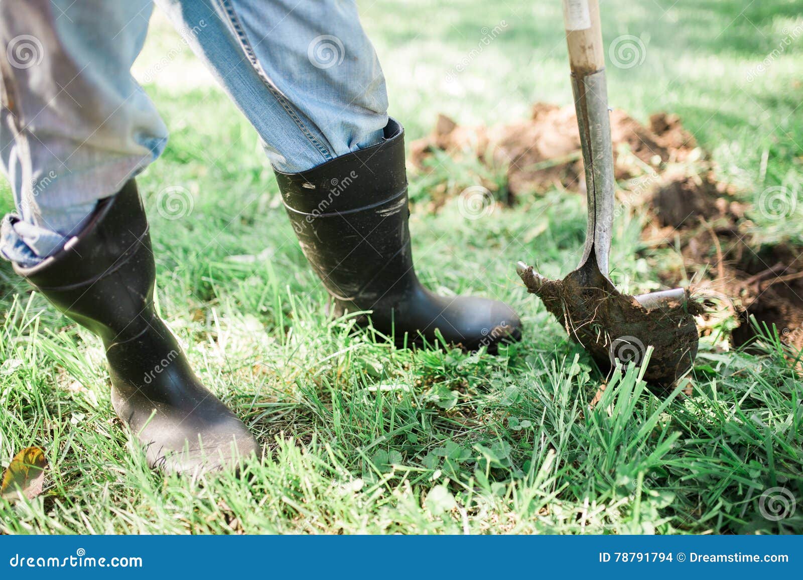 Man digging with shovel stock photo. Image of hole, garden - 78791794