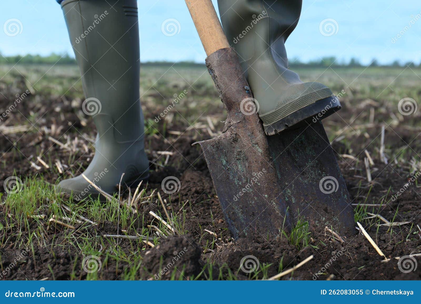 Man Digging Soil with Shovel in Field, Closeup Stock Image - Image of ...