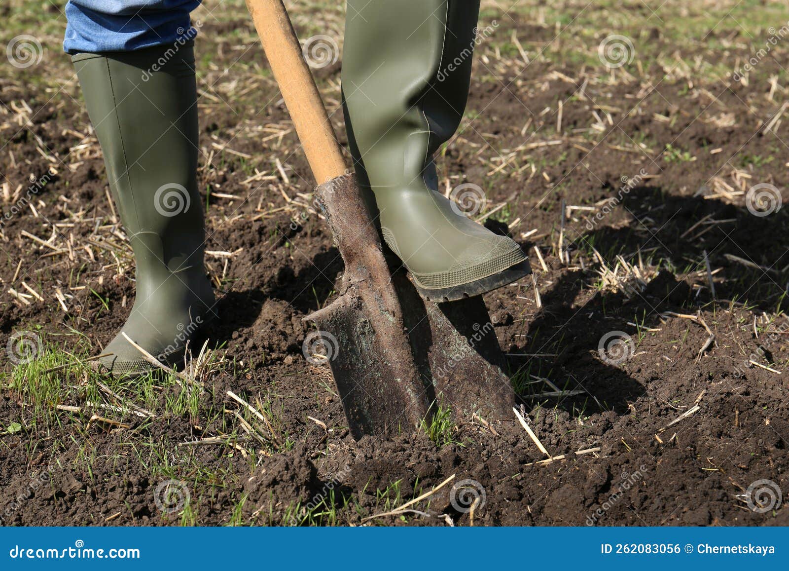 Man Digging Soil with Shovel in Field, Closeup Stock Photo - Image of ...