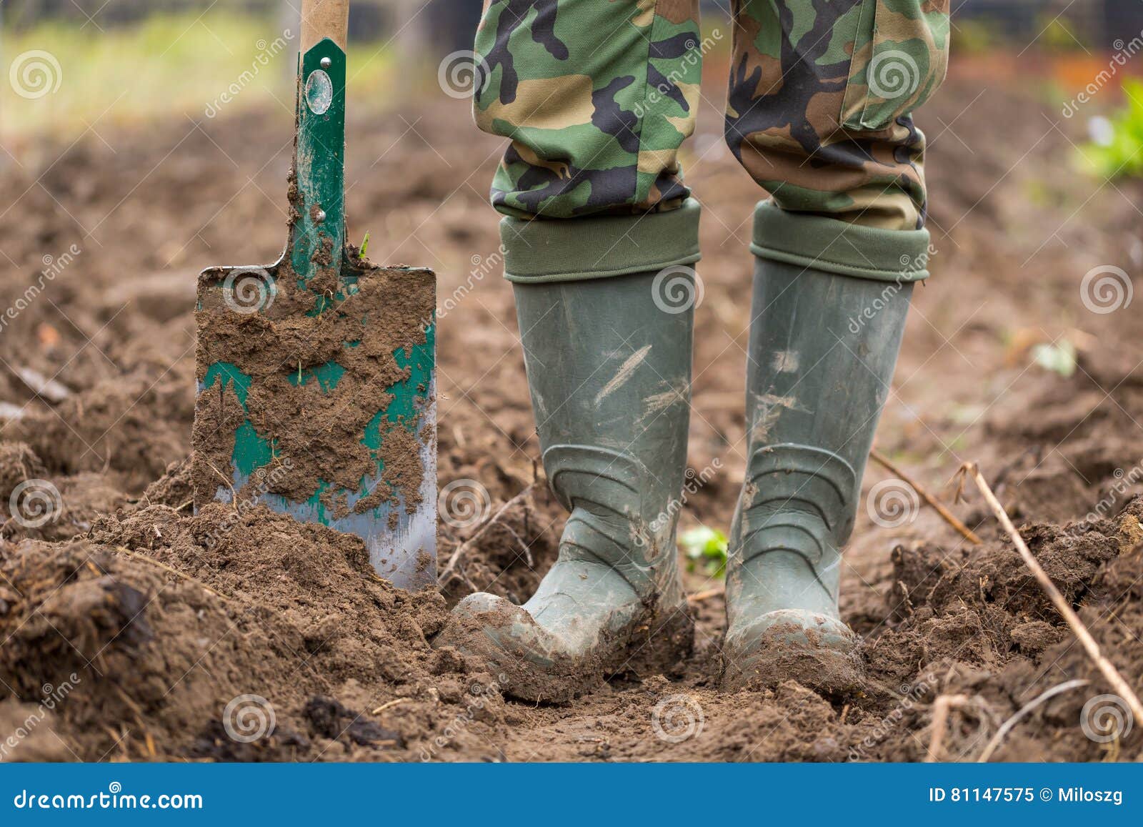 Man Digging with Spade in Garden Stock Image - Image of depth, person ...
