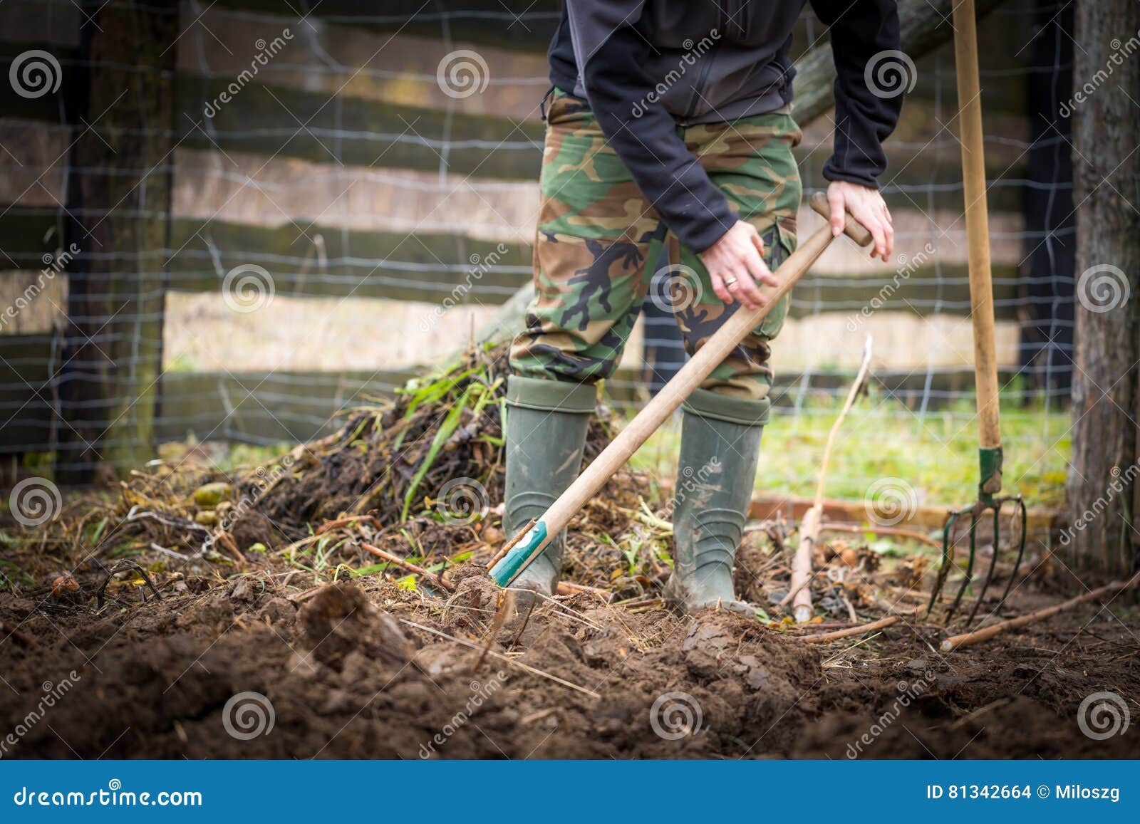 Man Digging with Spade in Garden Stock Photo - Image of agriculture ...