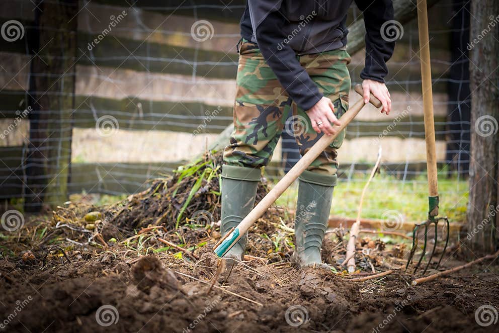 Man Digging with Spade in Garden Stock Photo - Image of agriculture ...