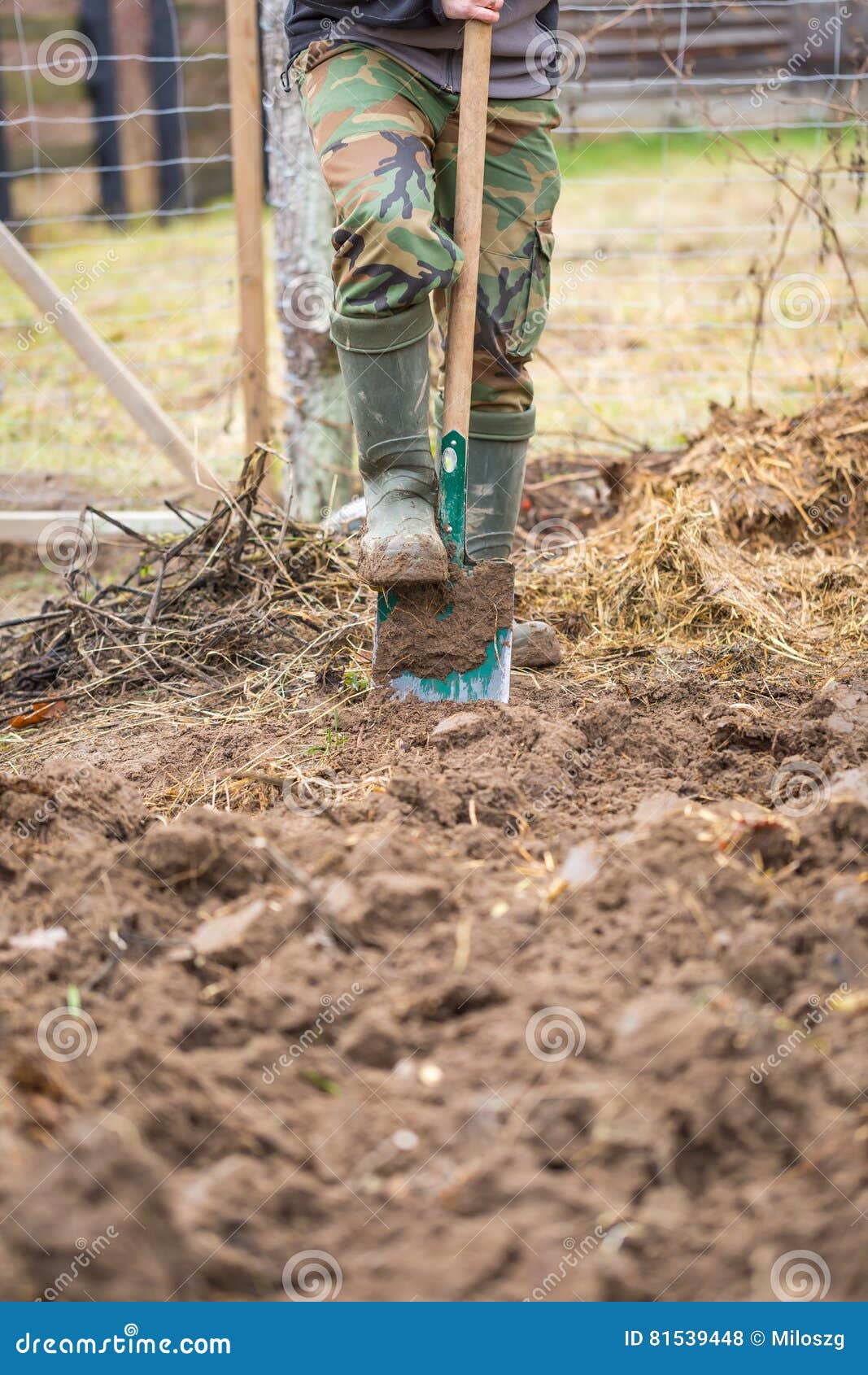 Man Digging with Spade in Garden Stock Photo - Image of hobby, cleaning ...