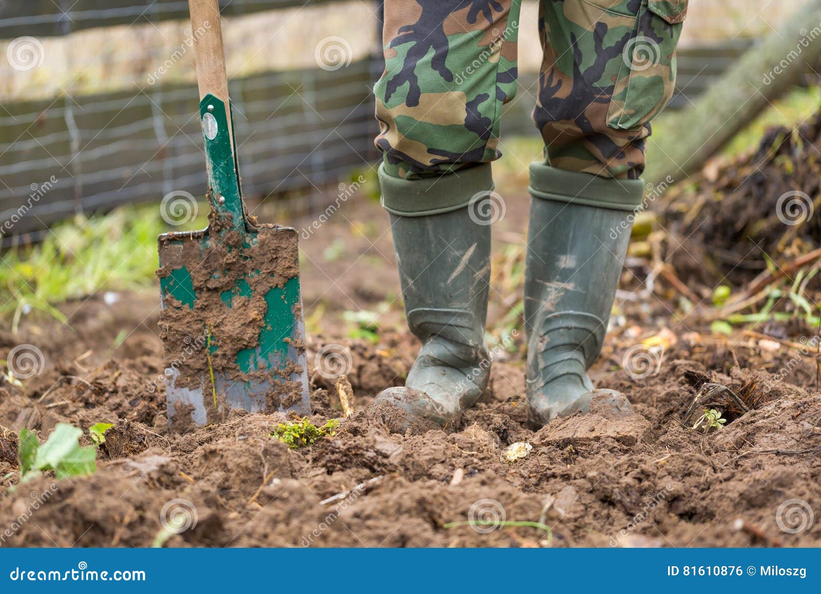 Man Digging with Spade in Garden Stock Photo - Image of nature, handle ...