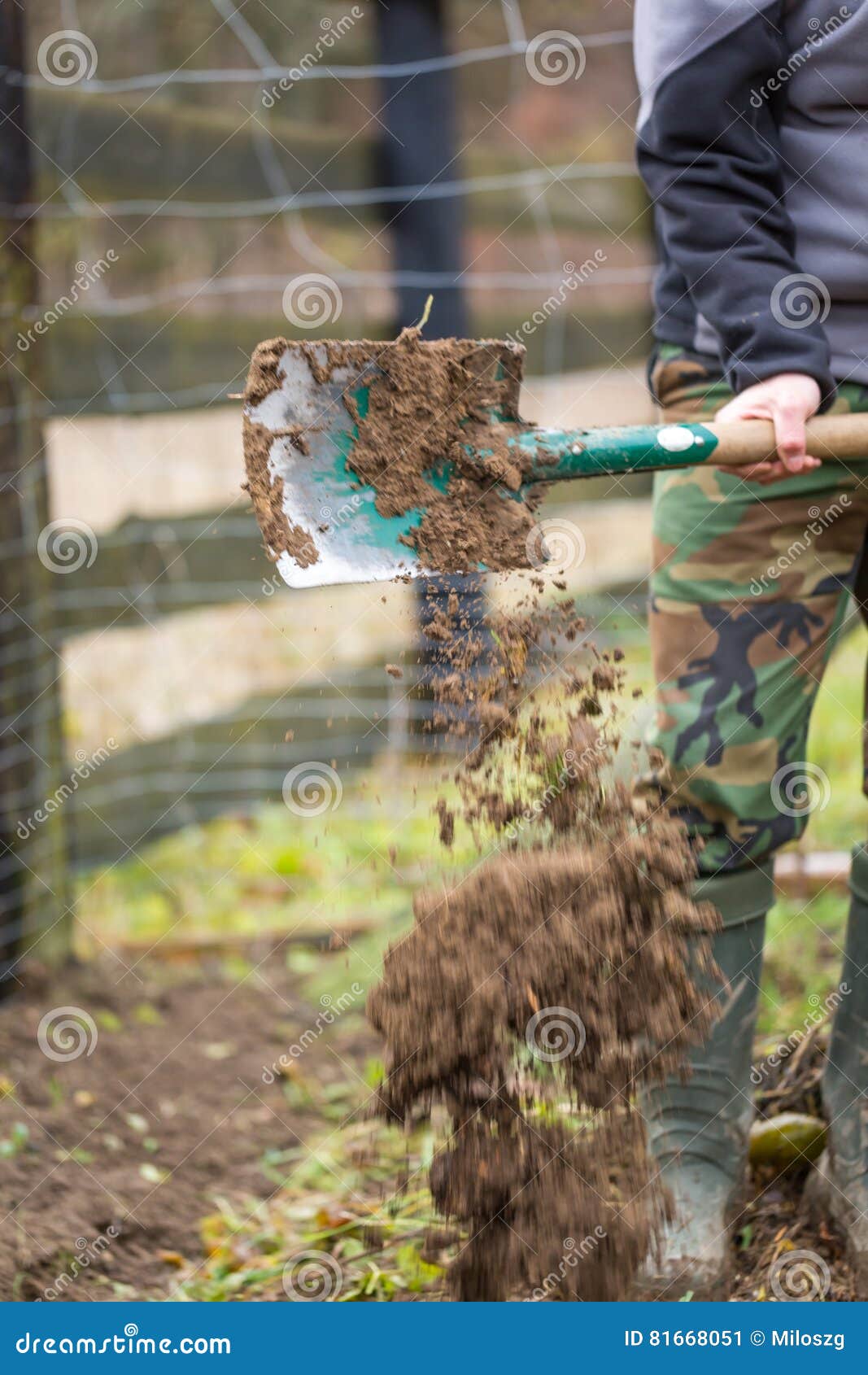 Man Digging with Spade in Garden Stock Image - Image of hobby, outdoor ...
