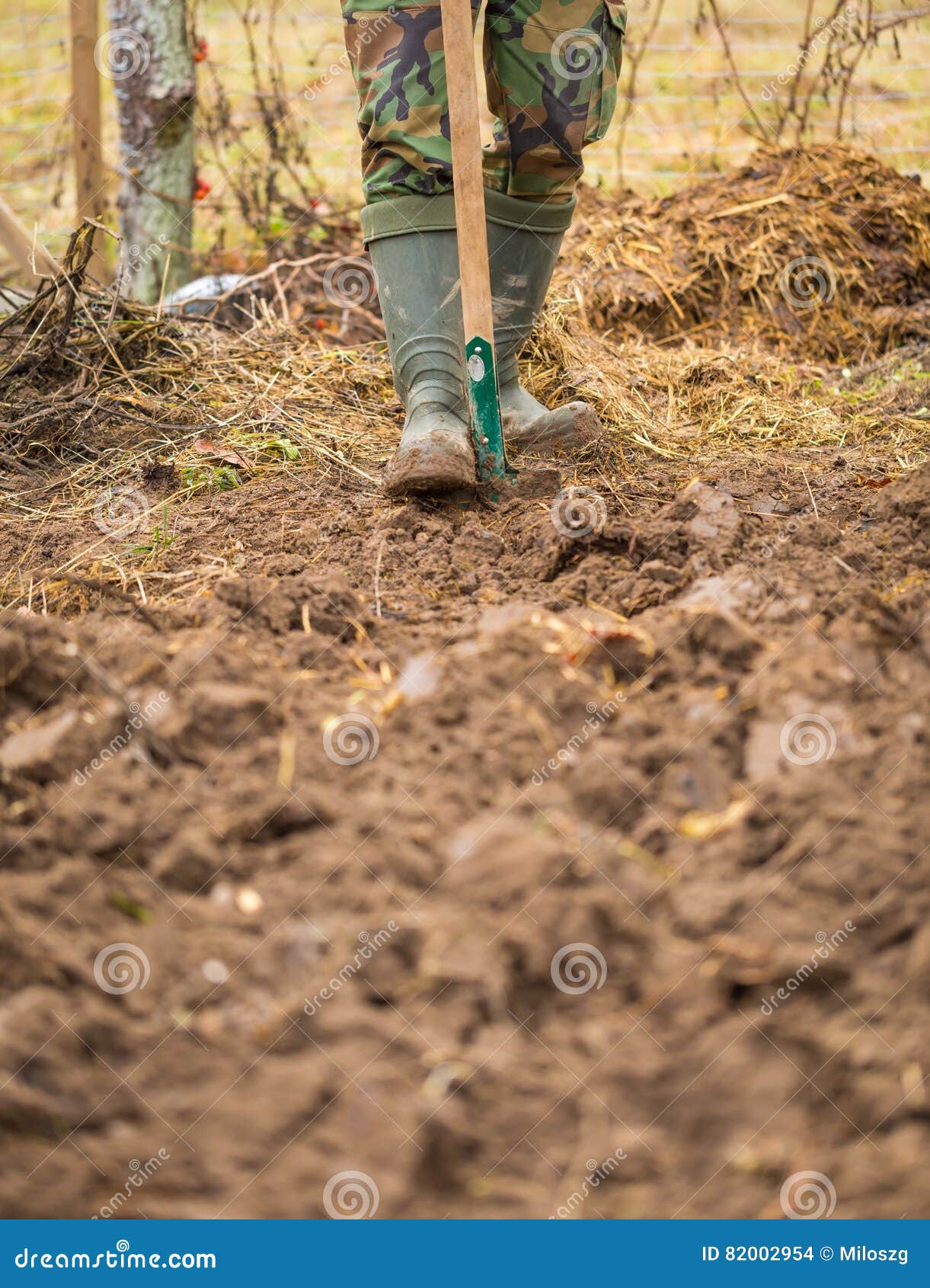 Man Digging with Spade in Garden Stock Photo - Image of backyard, earth ...