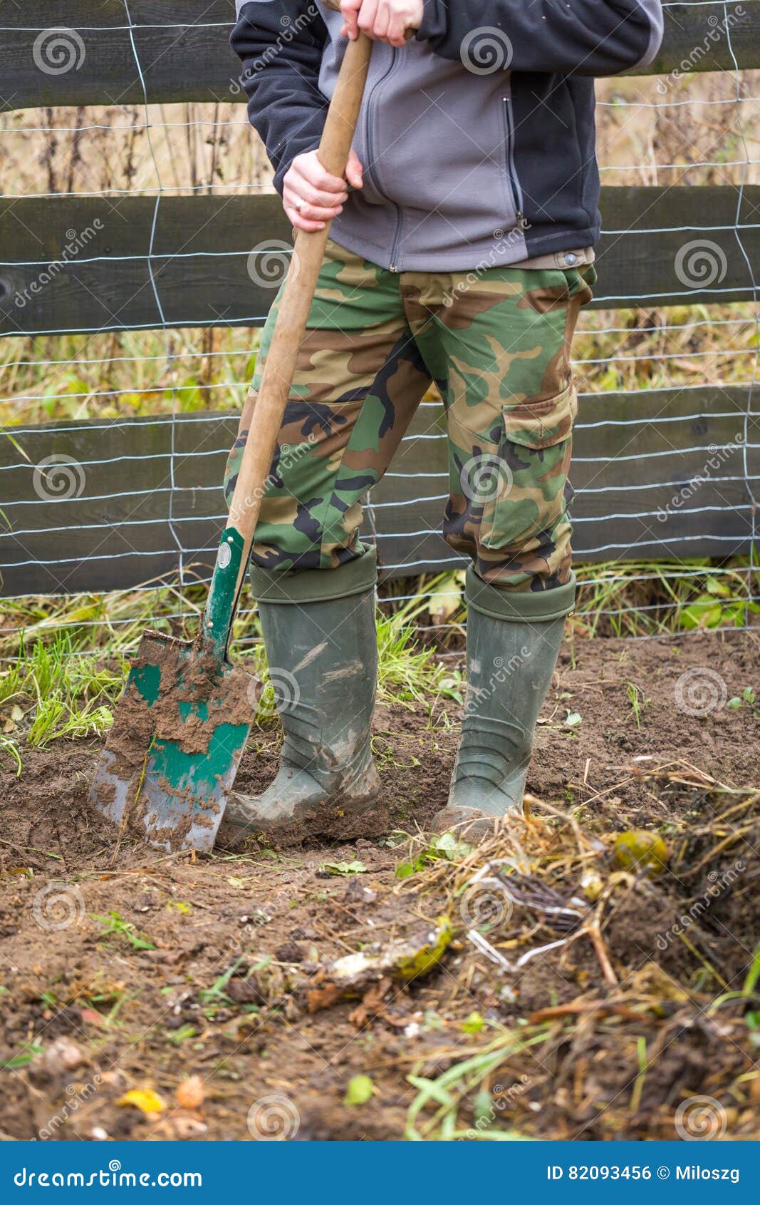 Man Digging with Spade in Garden Stock Photo - Image of person ...