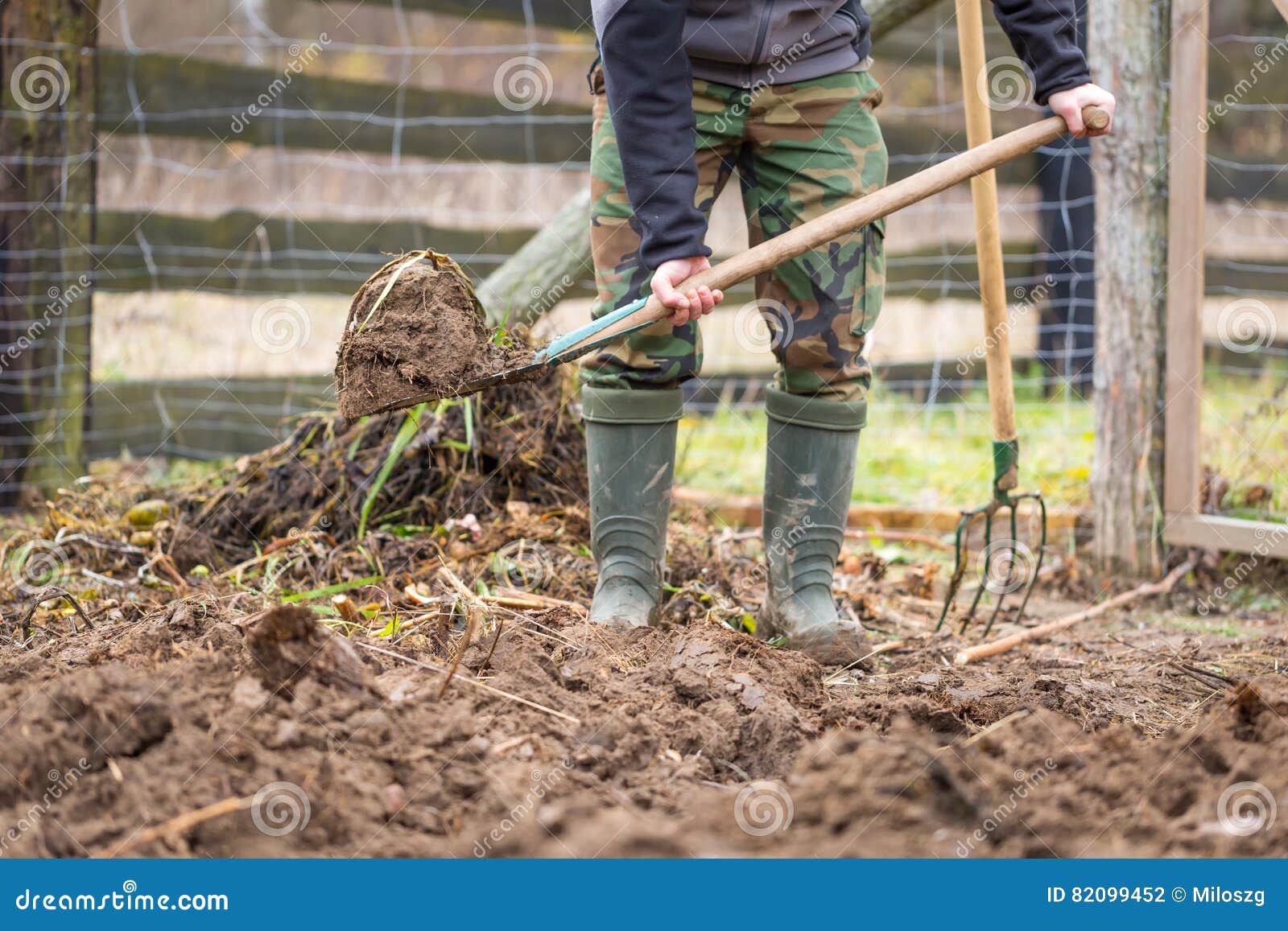 Man Digging with Spade in Garden Stock Photo - Image of shallow ...