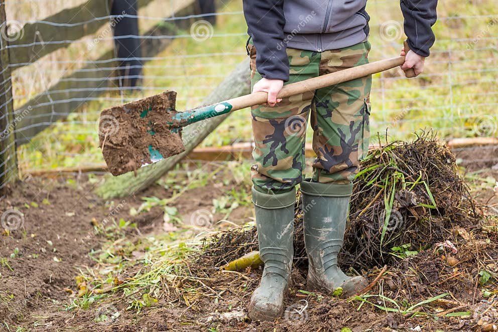 Man Digging with Spade in Garden Stock Image - Image of outdoors ...