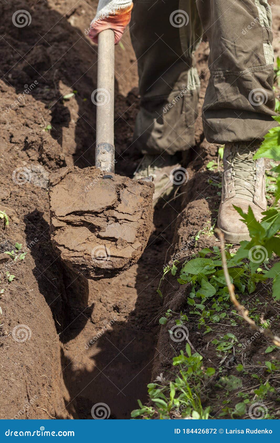 Man Digging a Trench in the Park Stock Photo - Image of loader ...