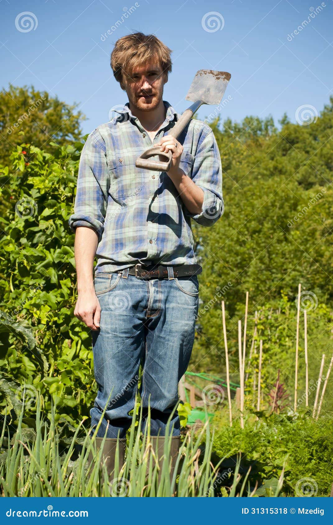 Man Digging in Vegetable Garden Stock Photo - Image of earth, backyard ...