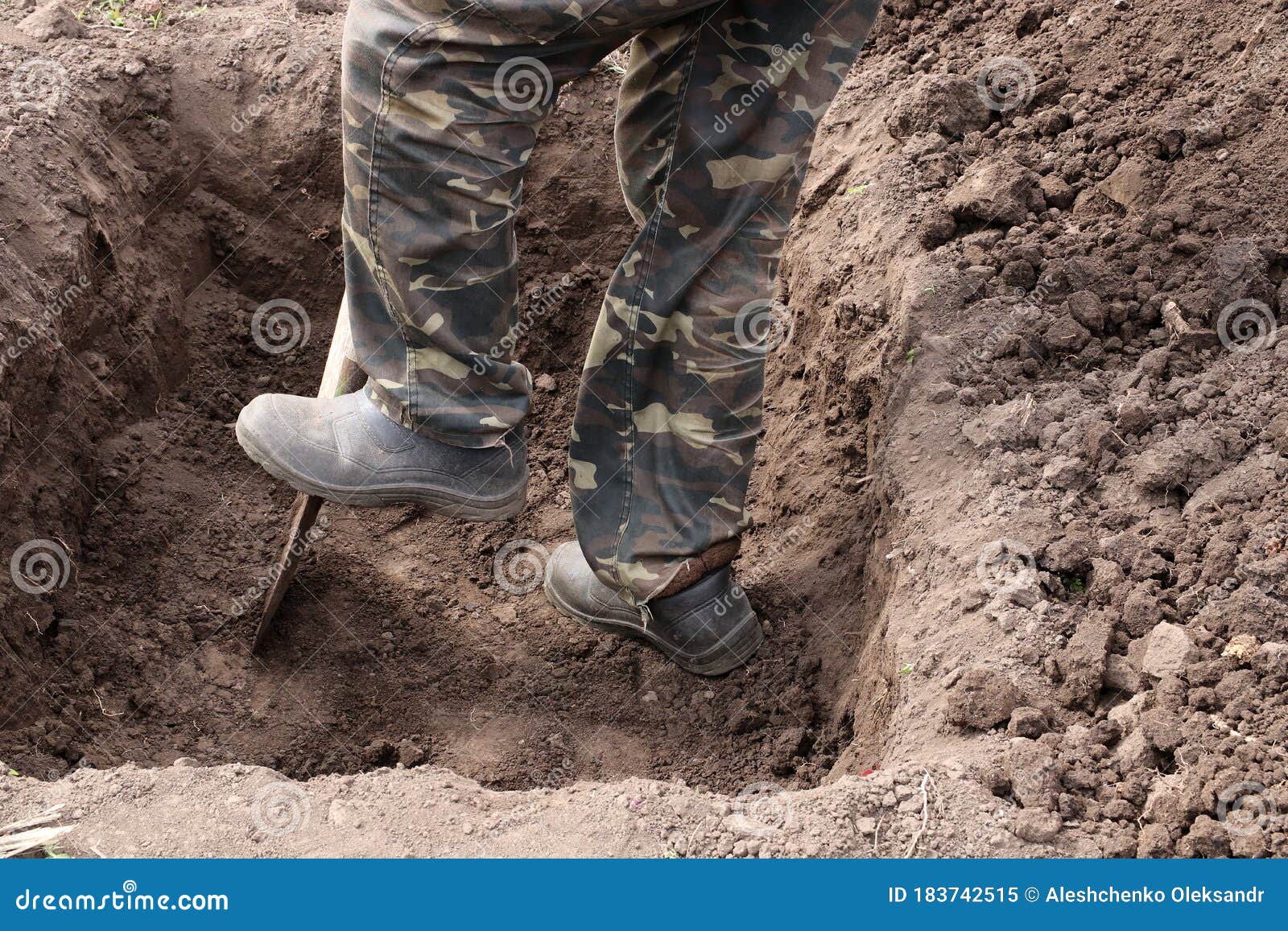 Digging a pit by shovel. stock image. Image of planting - 183742515