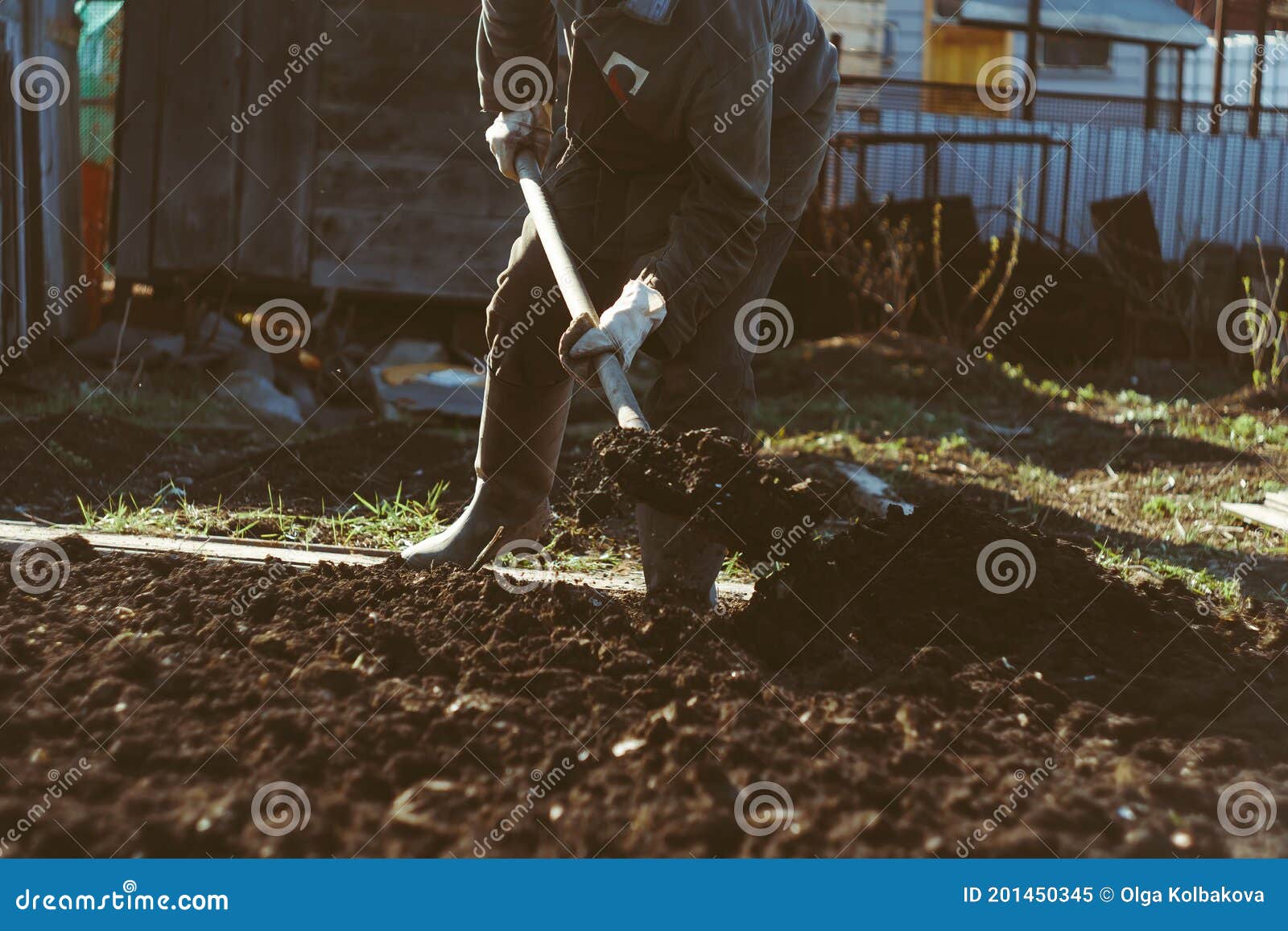 The man digs the garden stock image. Image of detail - 201450345