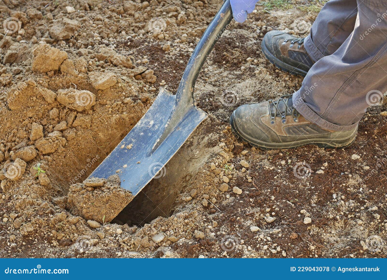 Man Digs a Hole in the Ground Stock Photo - Image of rose, equipment ...