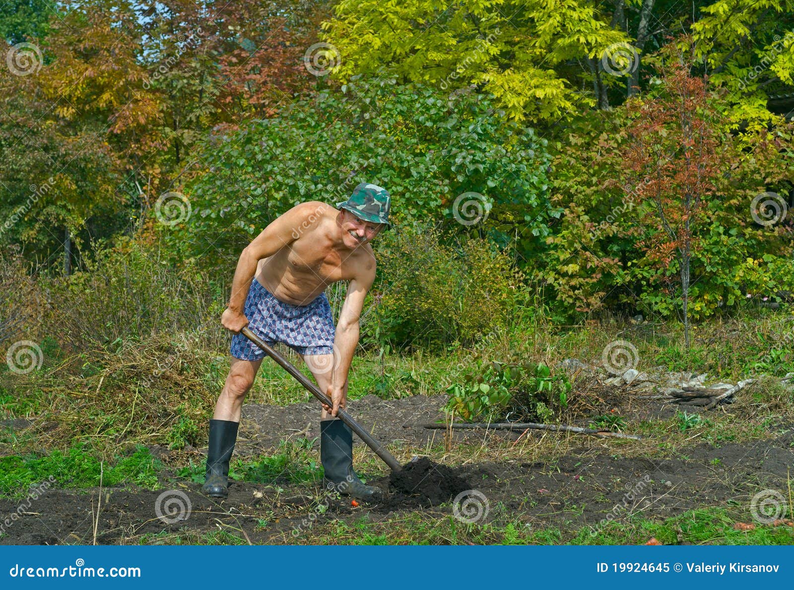 Man digs with spade 2 stock image. Image of garden, spade - 19924645