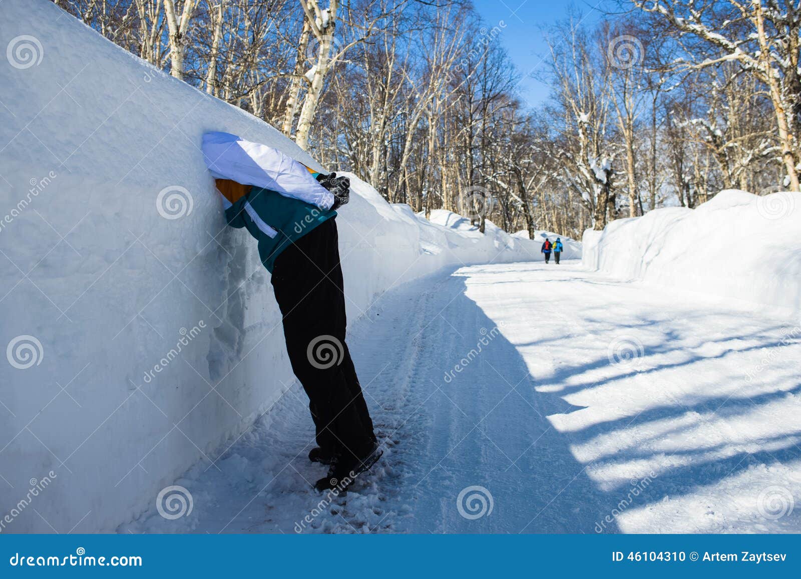 Man Dipped His Head into the Snow Stock Photo - Image of animal ...