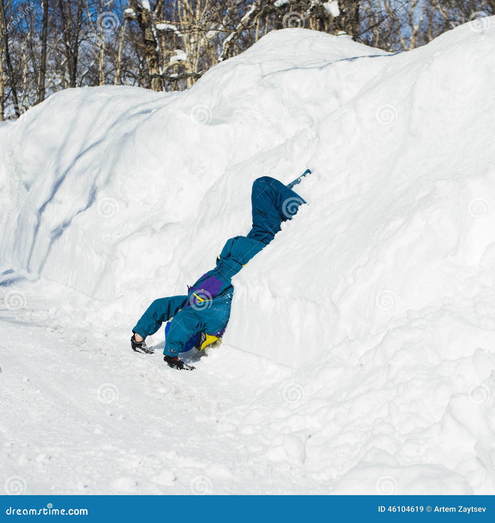 Man Dipped His Head into the Snow Stock Image - Image of giraffe ...